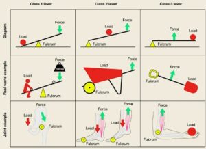 Simple Machines: Features, Types, Uses - The Engineering Tools